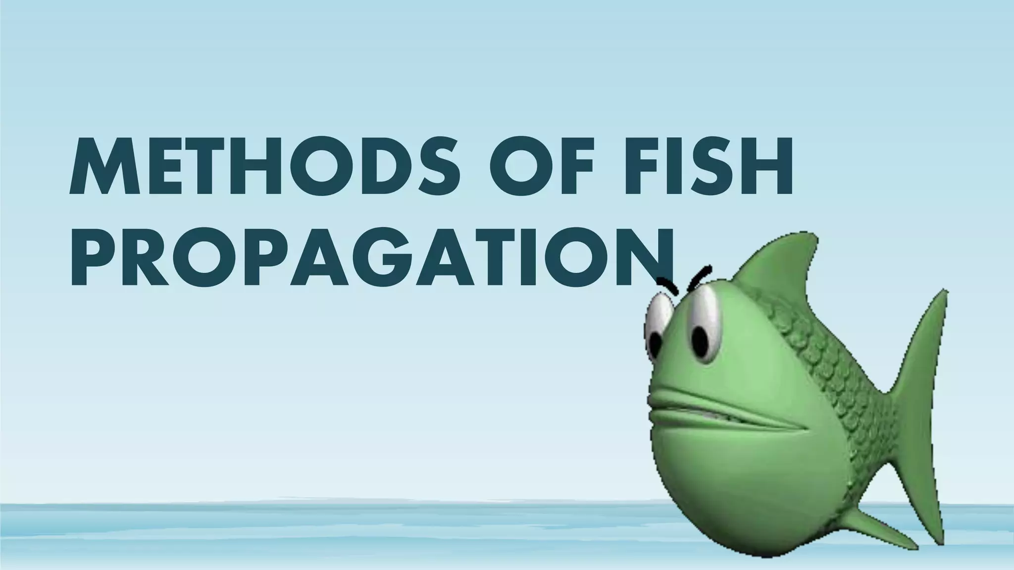 Phases of the fish culture | PPTX