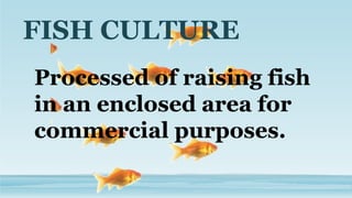 Phases of the fish culture | PPTX