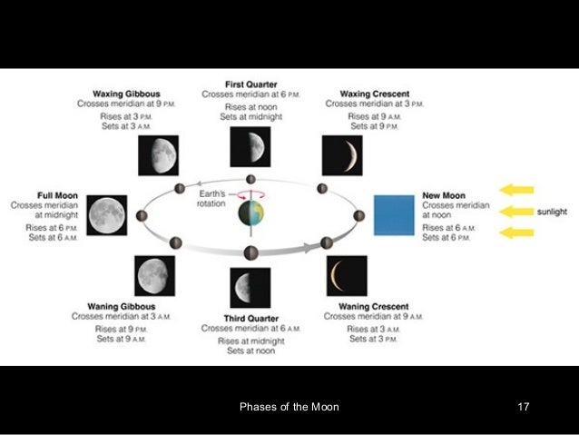 Phases of the moon