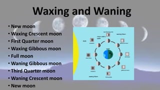 Phases of the moon | PPTX | Science