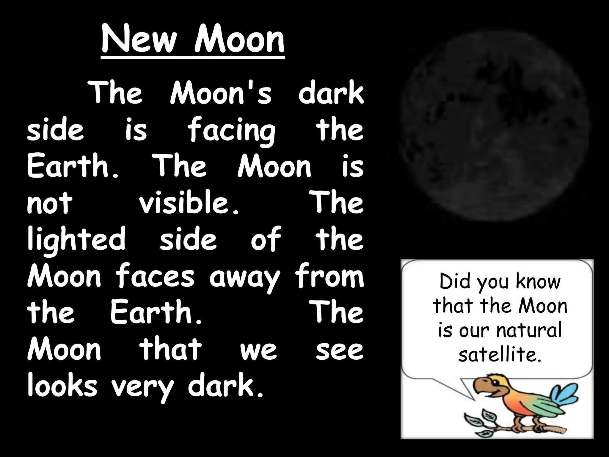 Phases of the Moon.ppt
