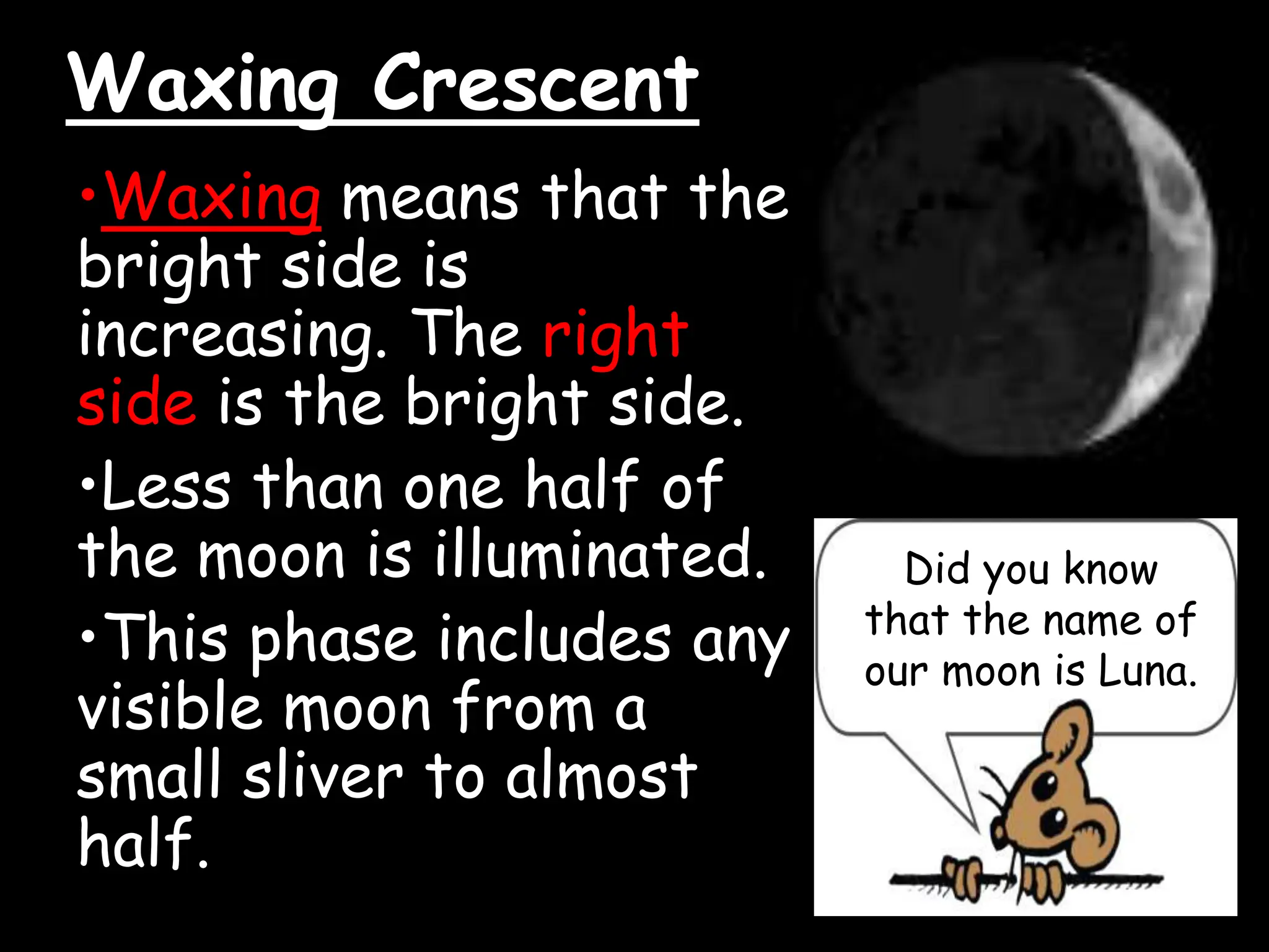 Phases of the Moon.ppt