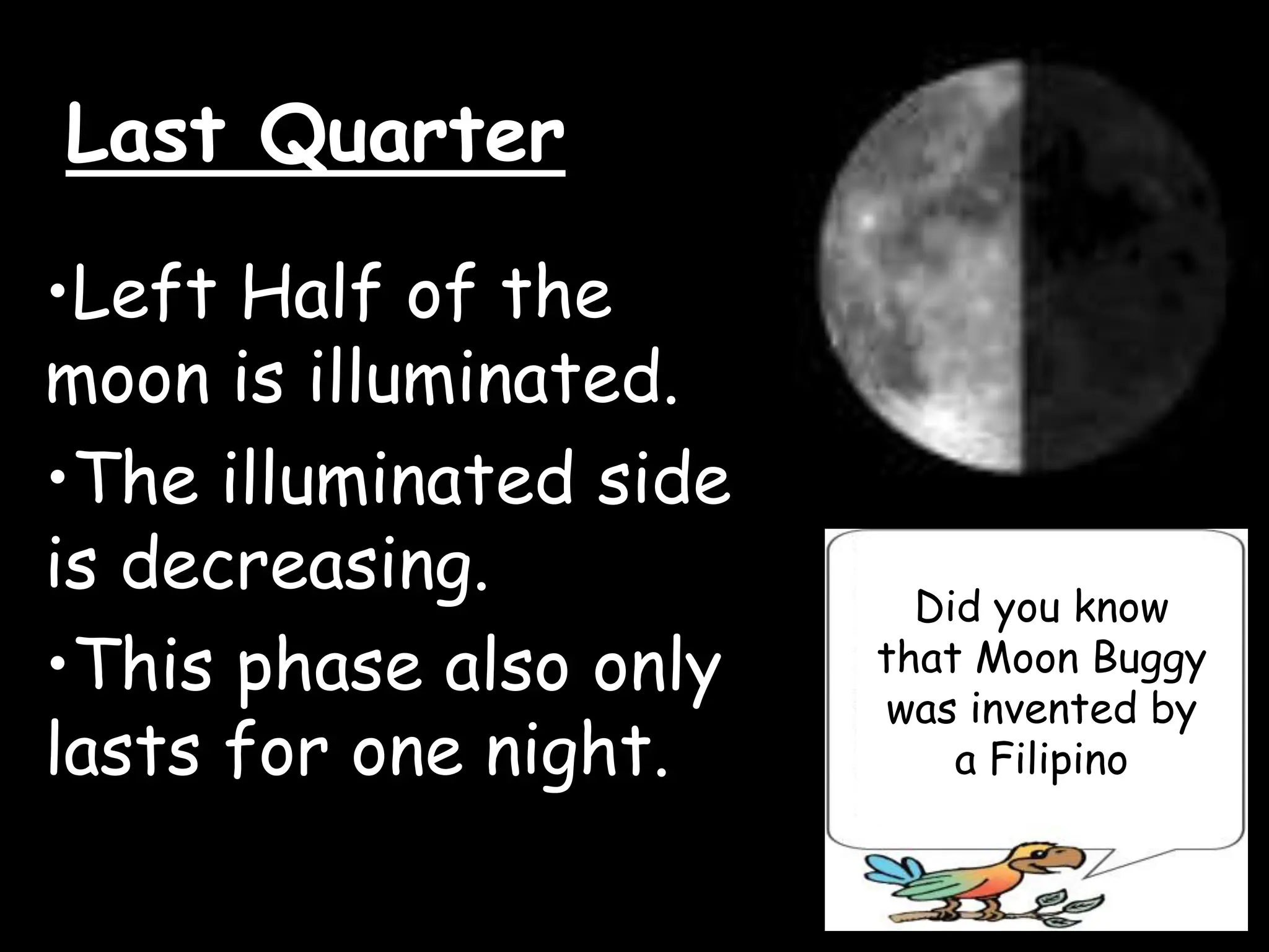 Phases of the Moon.ppt | Geography | Science