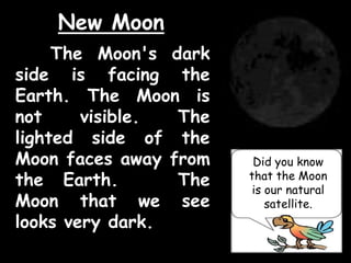 Phases of the Moon.ppt