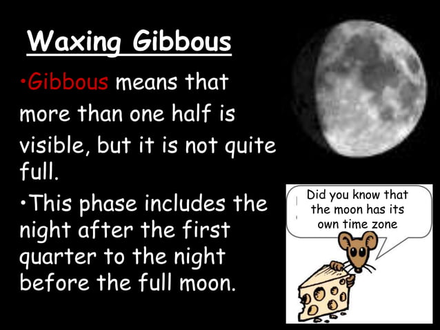 Phases of the Moon.ppt | Geography | Science