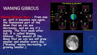 Phases of the Moon | PPTX