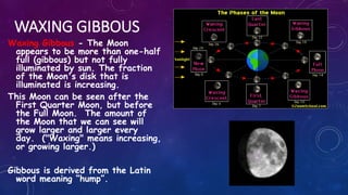 Phases of the Moon | PPTX