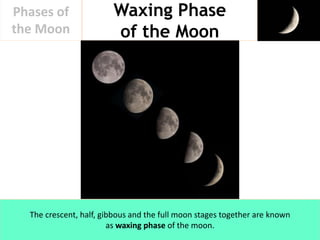 Phases of the Moon | PPTX