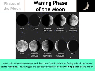 Phases of the Moon | PPTX