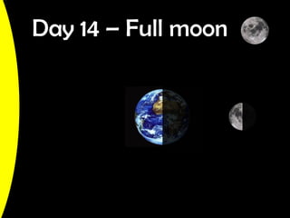 There are eight phases of the moon to complete | PPT