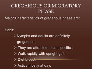 Phase variation in locust | PPTX