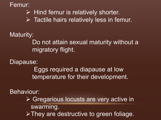 Phase variation in locust | PPTX