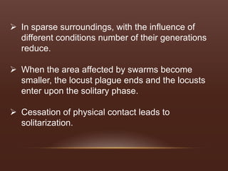 Phase variation in locust | PPTX