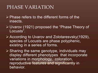 Phase variation in locust | PPTX