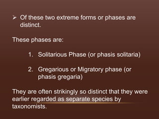 Phase variation in locust | PPTX