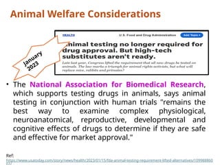 Phasing out animal tests - action in 2024 and beyond | PPTX