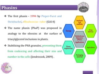 Phasins | PPT
