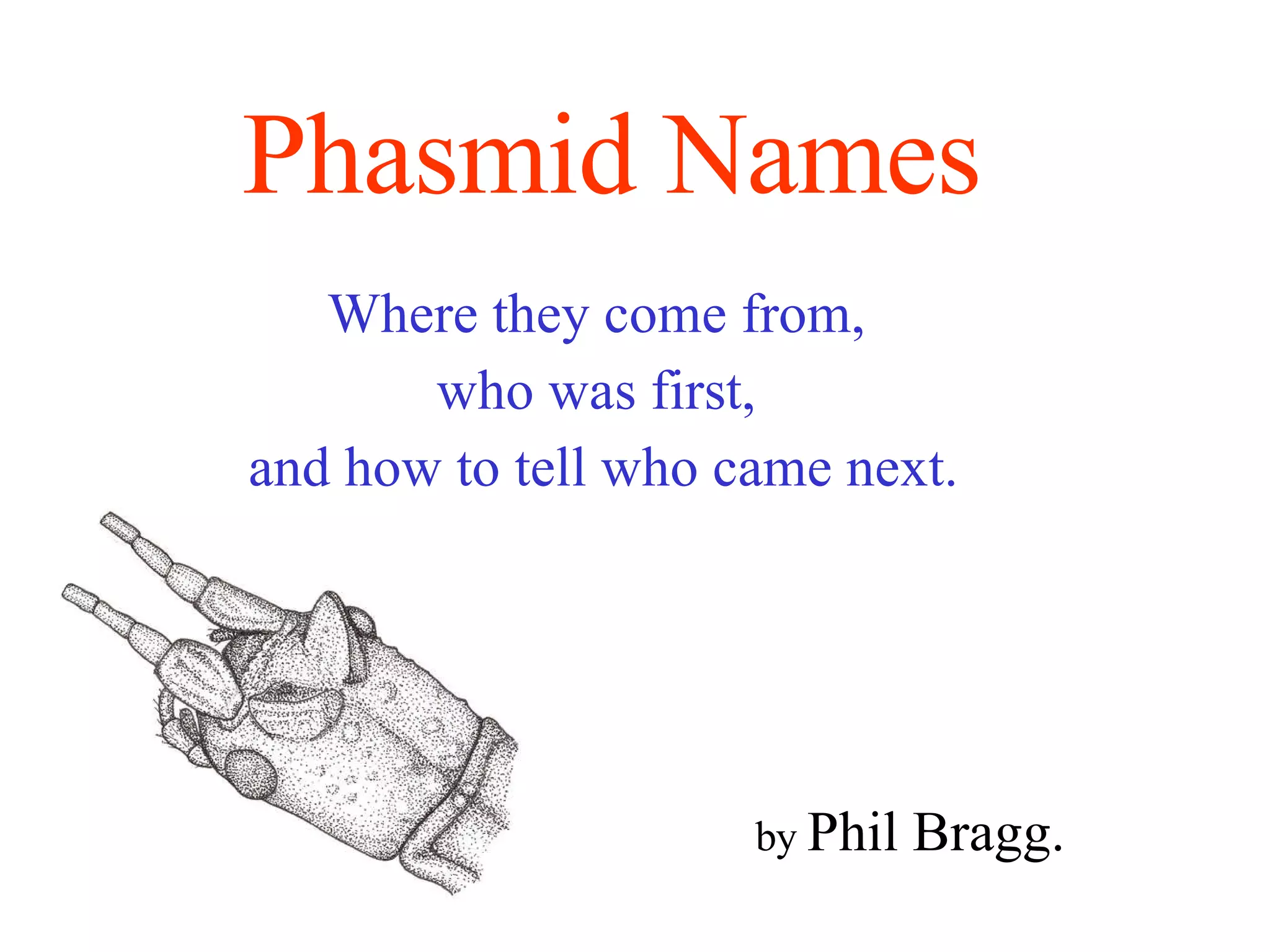 Naming Phasmids | PPT
