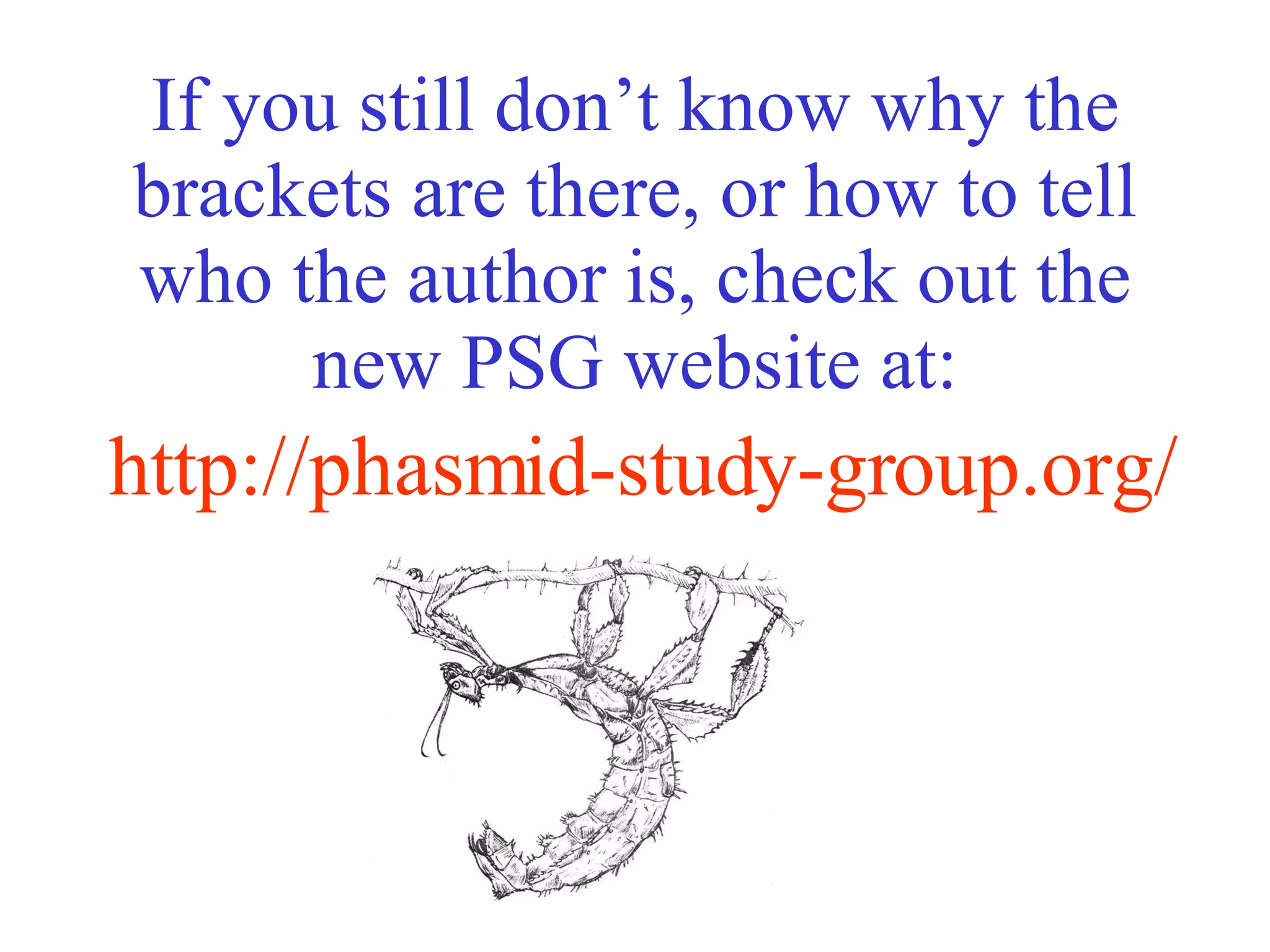 Naming Phasmids | PPT