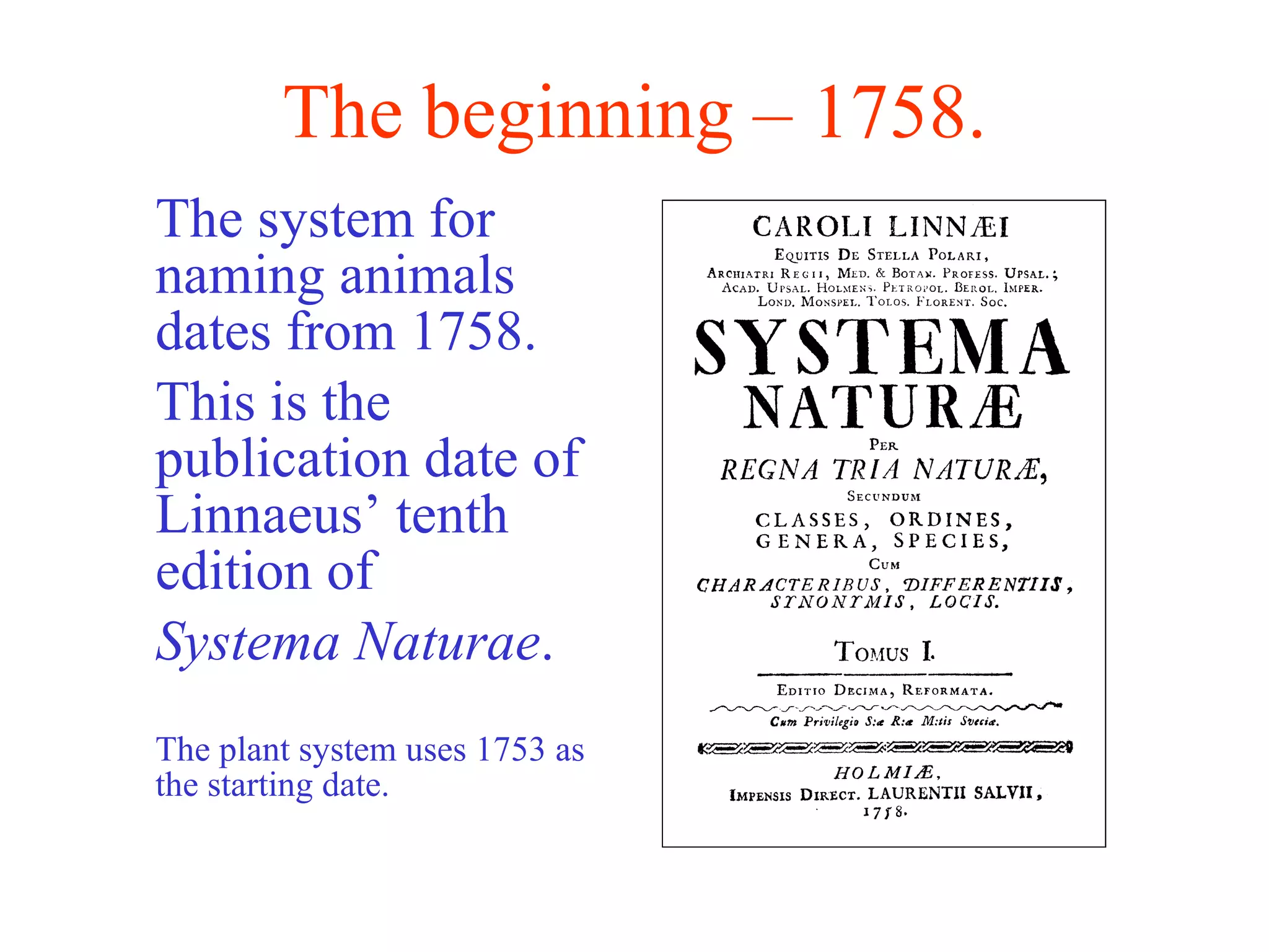 Naming Phasmids | PPT