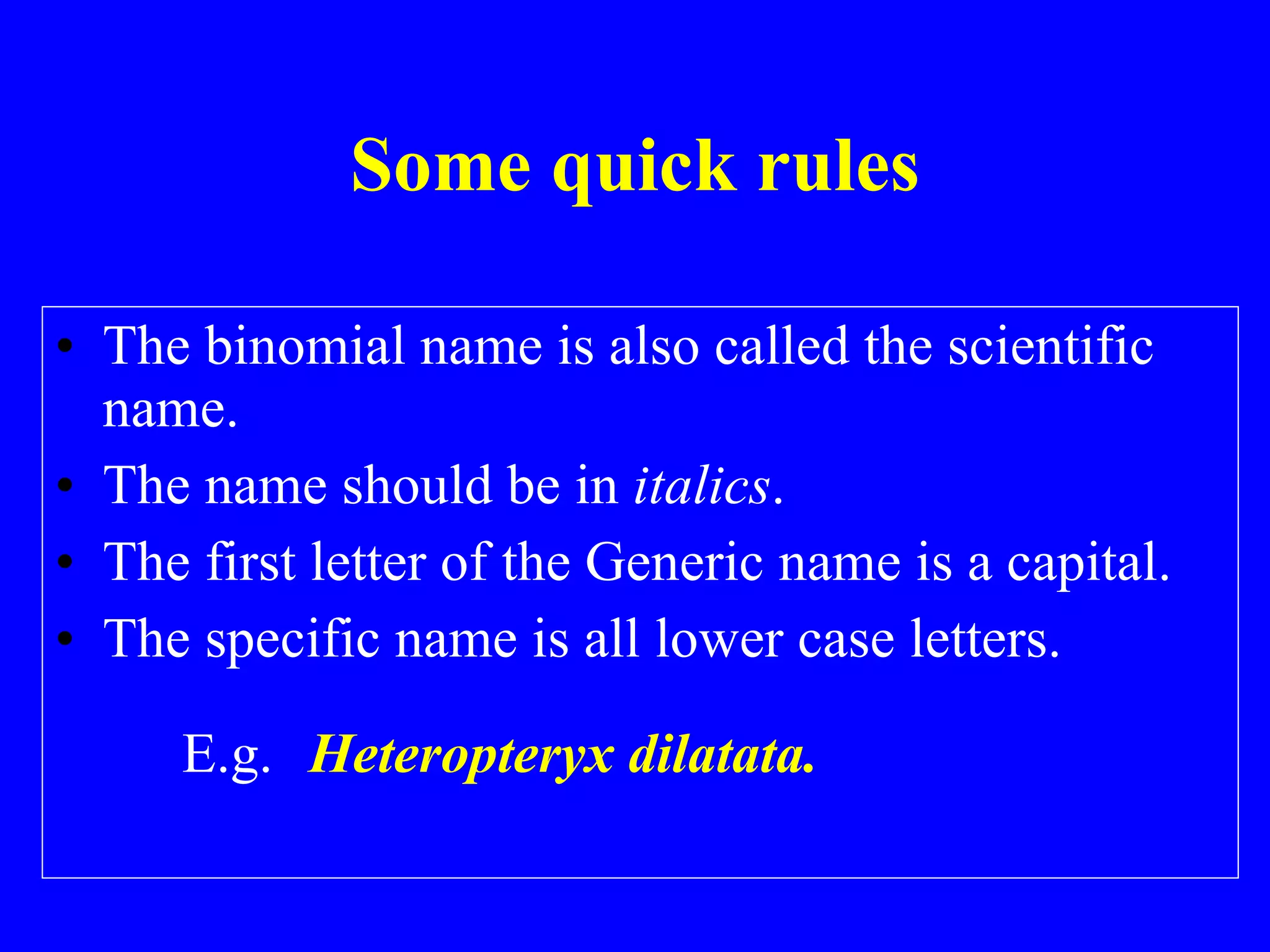 Naming Phasmids | PPT