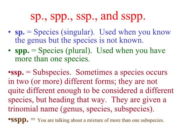 Naming Phasmids | PPT