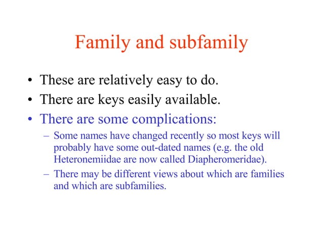 Naming Phasmids | PPT