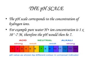Ph, buffer solution ph indicator and ph | PPTX