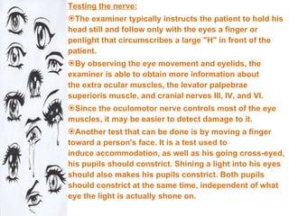 cranial nerves | PPT