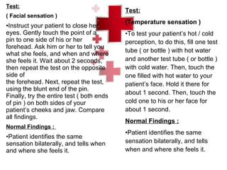 cranial nerves | PPT