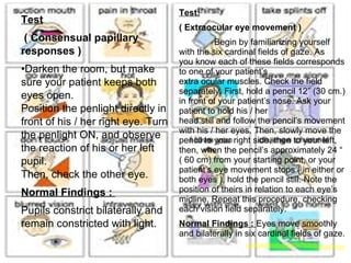 cranial nerves | PPT