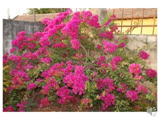 Phc morappur march upload part 1 .ppt
