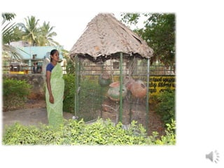 Phc morappur march upload part 1 .ppt