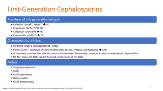 The Pharmacology of Cephalosporins: A Practical Guide | PDF