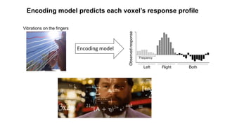 PhD Thesis: Bimanual touch and cortical encoding models of sensory cue ...