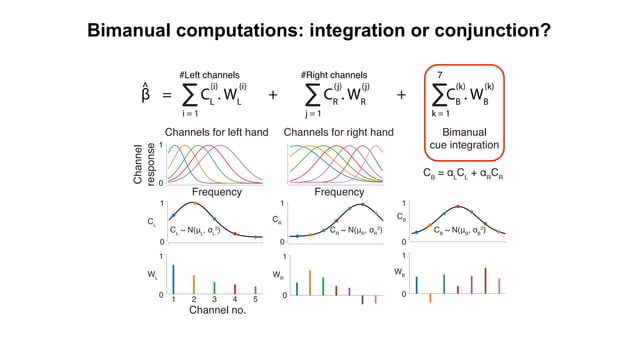 PhD Thesis: Bimanual touch and cortical encoding models of sensory cue integration | PPT