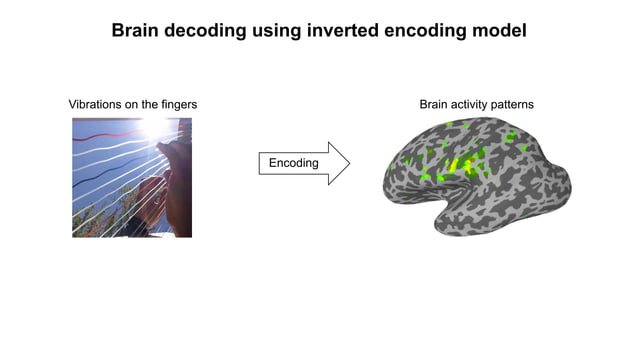 PhD Thesis: Bimanual touch and cortical encoding models of sensory cue ...