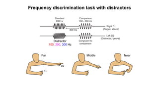PhD Thesis: Bimanual touch and cortical encoding models of sensory cue ...