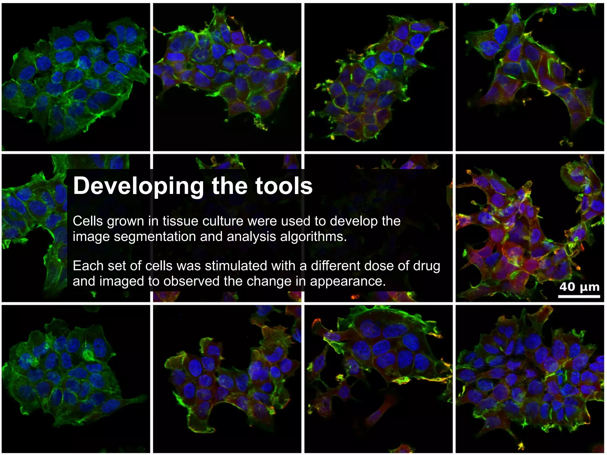 Quantitative Image Analysis in the Life Sciences: Using imaging to ...