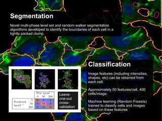 Quantitative Image Analysis in the Life Sciences: Using imaging to predict cancer survival | PPT