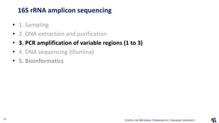 PhD course in amplicon sequencing at midas workshop 2019 | PPTX