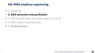 PhD course in amplicon sequencing at midas workshop 2019 | PPTX