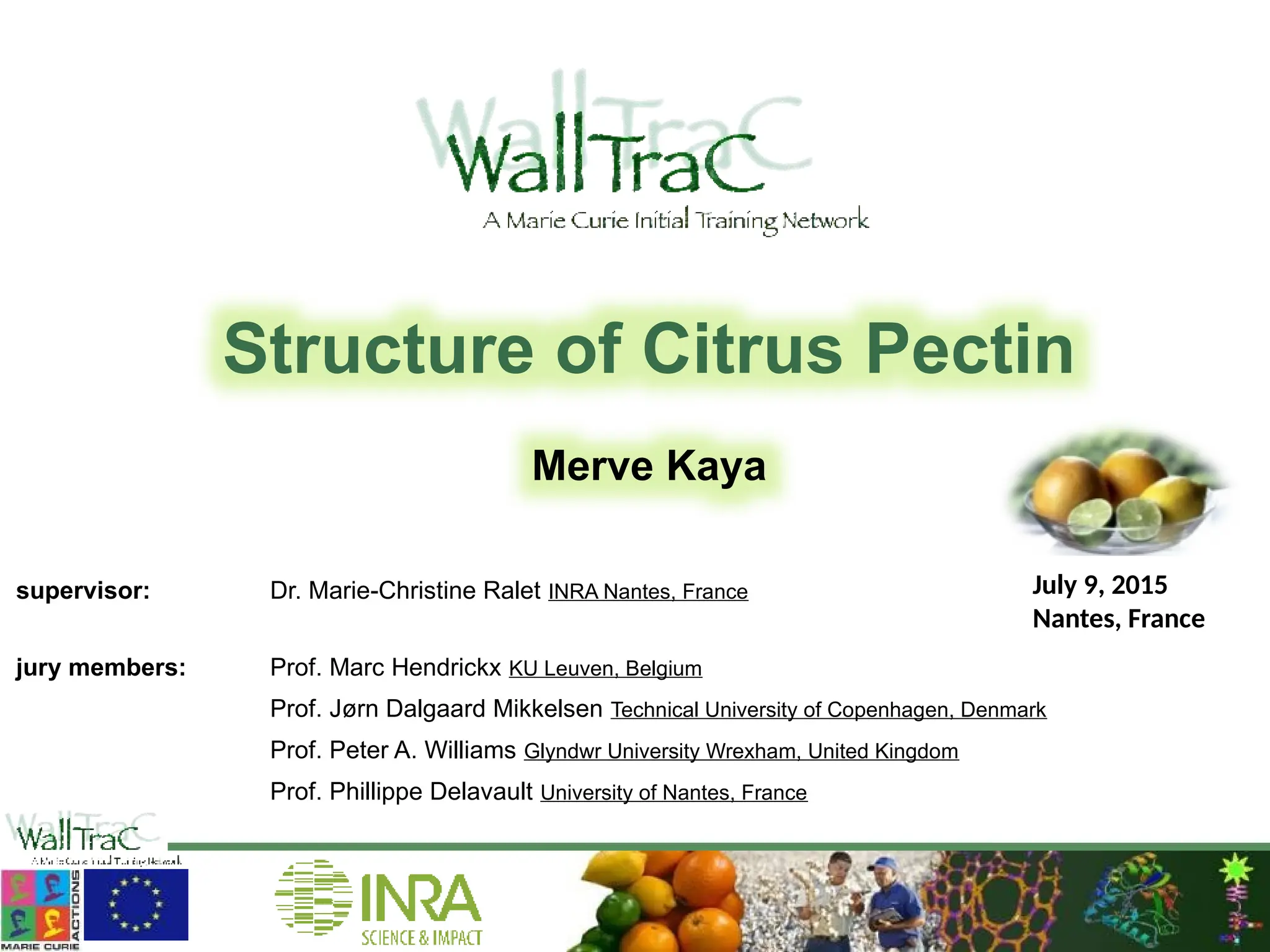 Citrus Pectin Structure, Dr. Merve Kaya. | PPTX