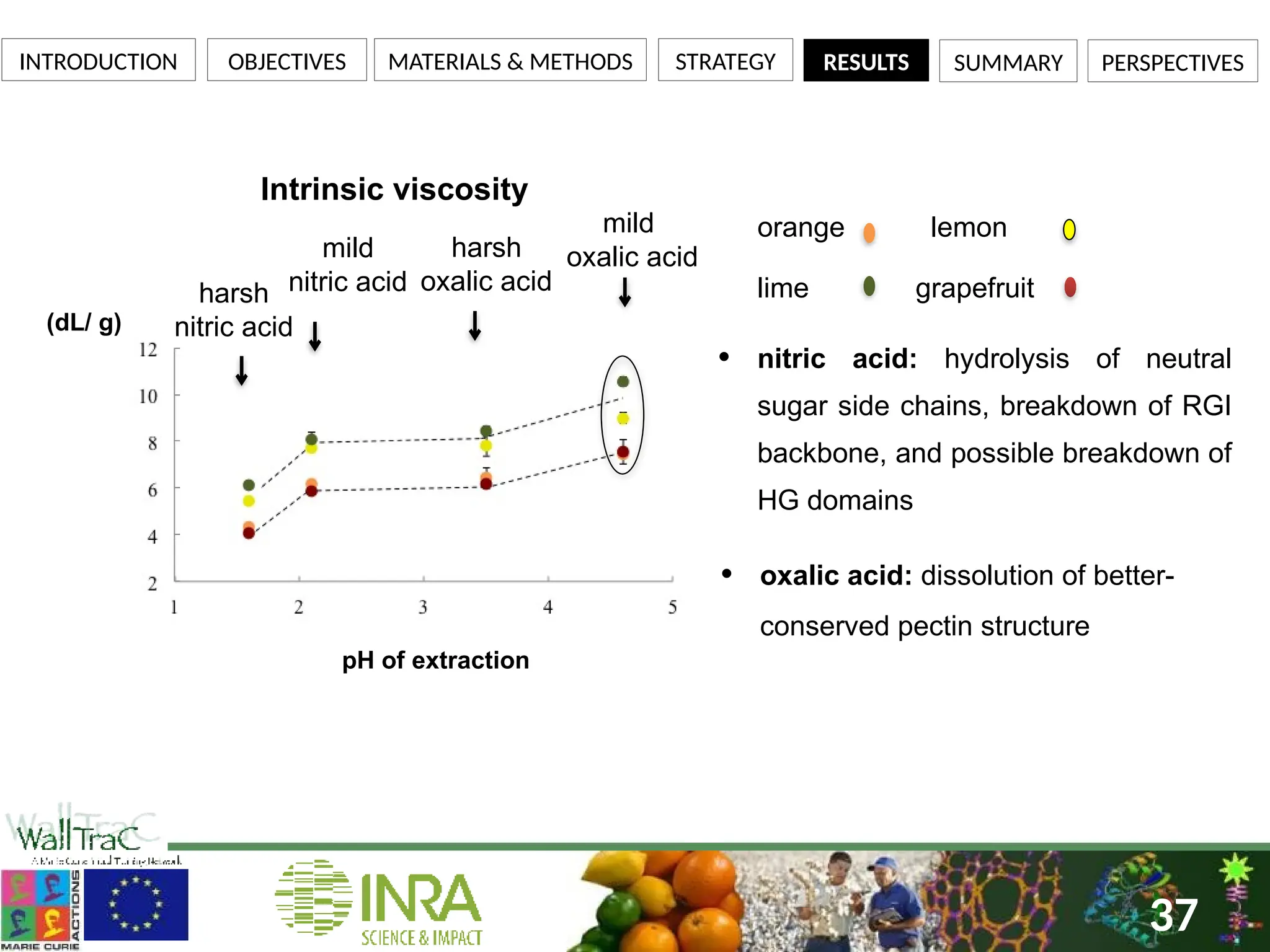 Citrus Pectin Structure, Dr. Merve Kaya. | PPTX