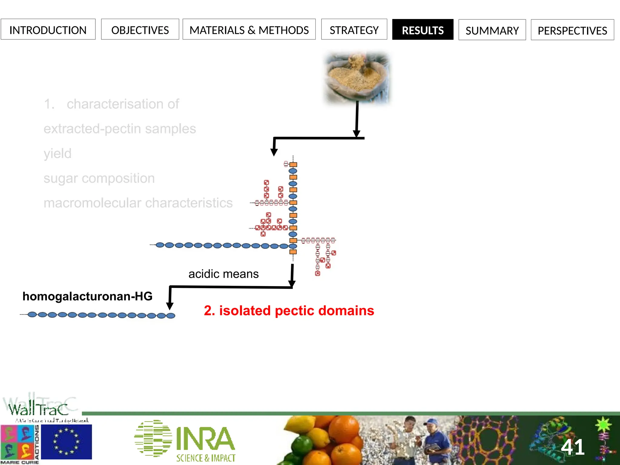 Citrus Pectin Structure, Dr. Merve Kaya. | PPTX