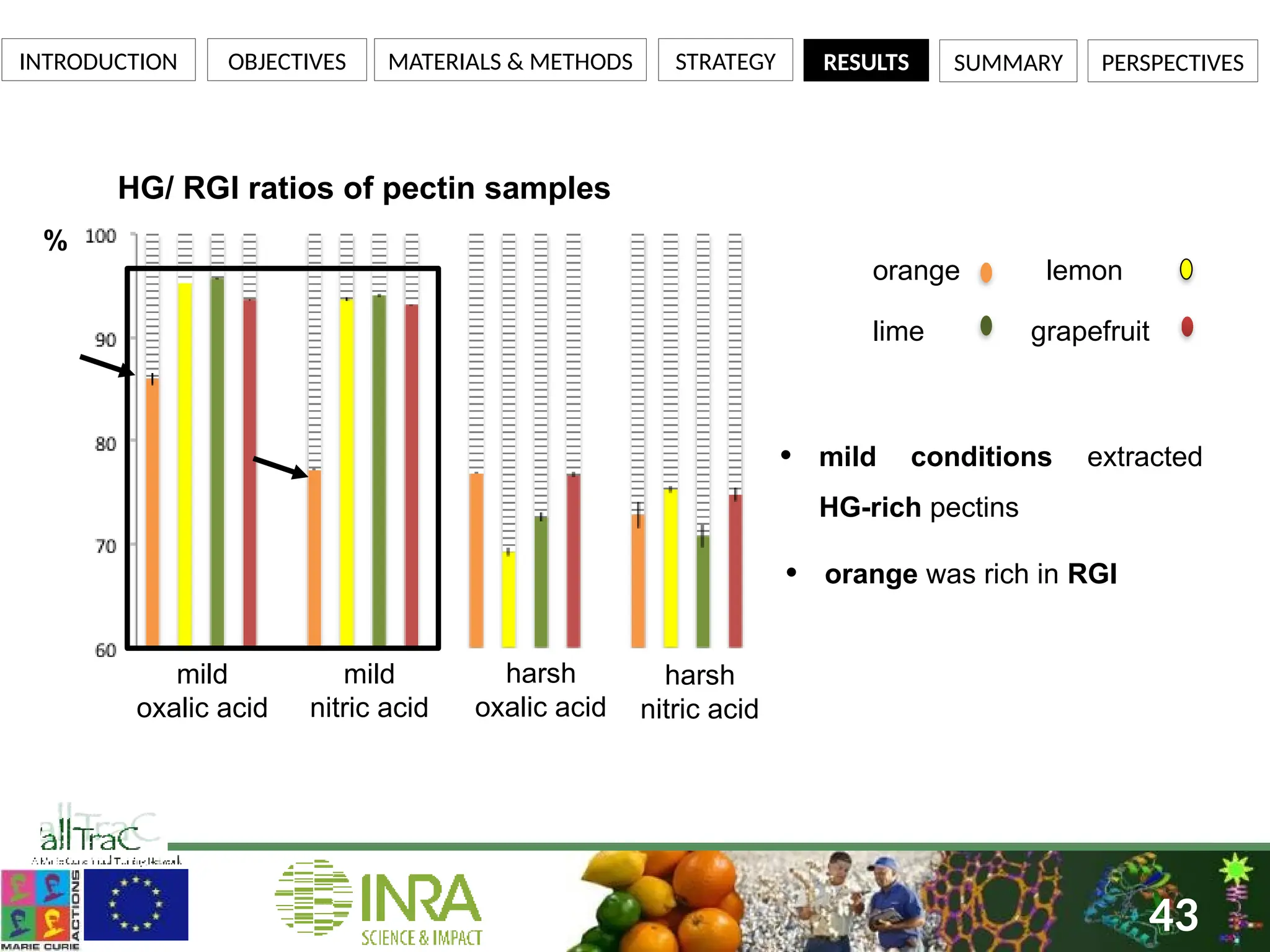 Citrus Pectin Structure, Dr. Merve Kaya. | PPTX