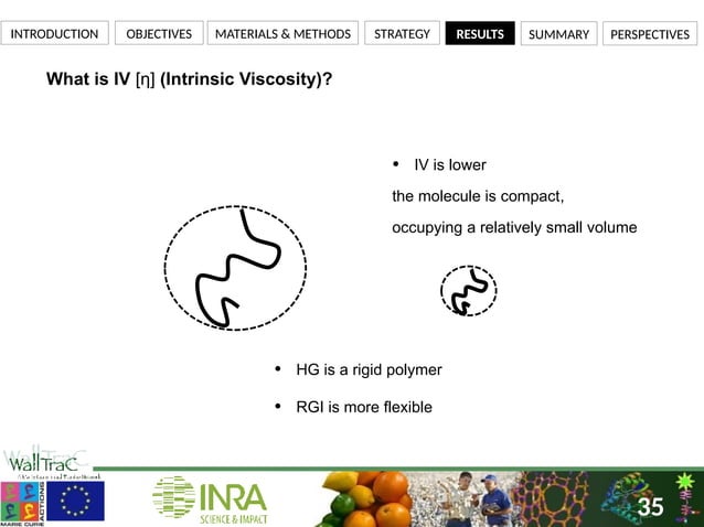 Citrus Pectin Structure, Dr. Merve Kaya. | PPTX