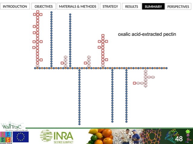 Citrus Pectin Structure, Dr. Merve Kaya. | PPT