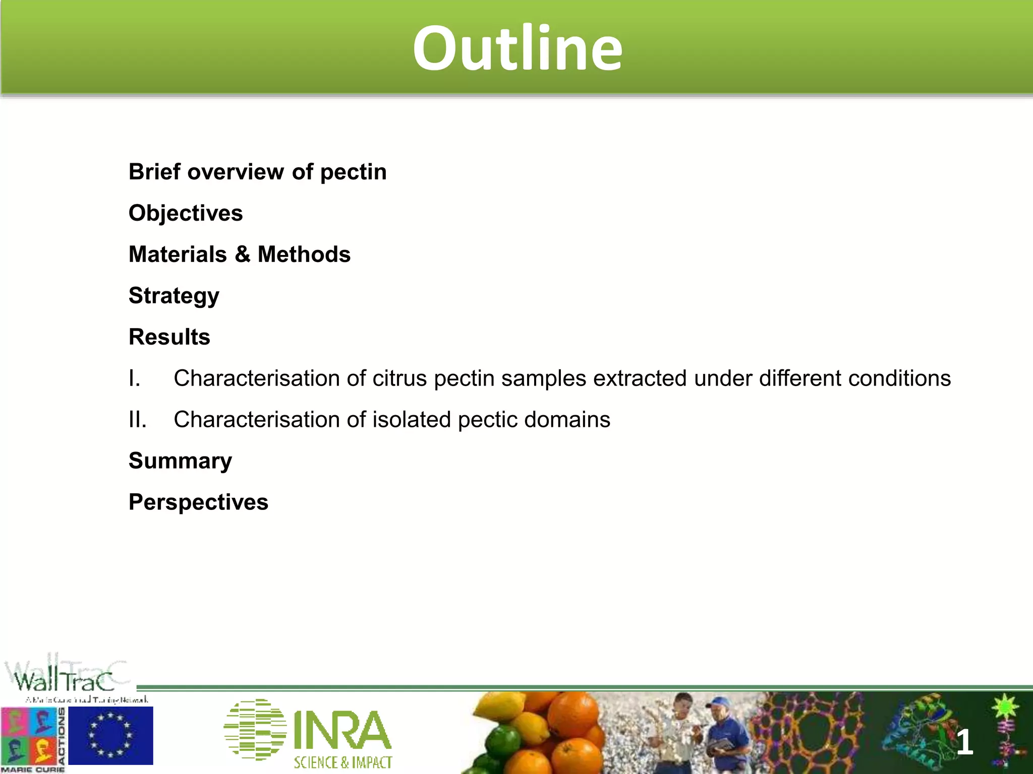 Dr. Merve Kaya- Structure of Citrus Pectine | PPTX