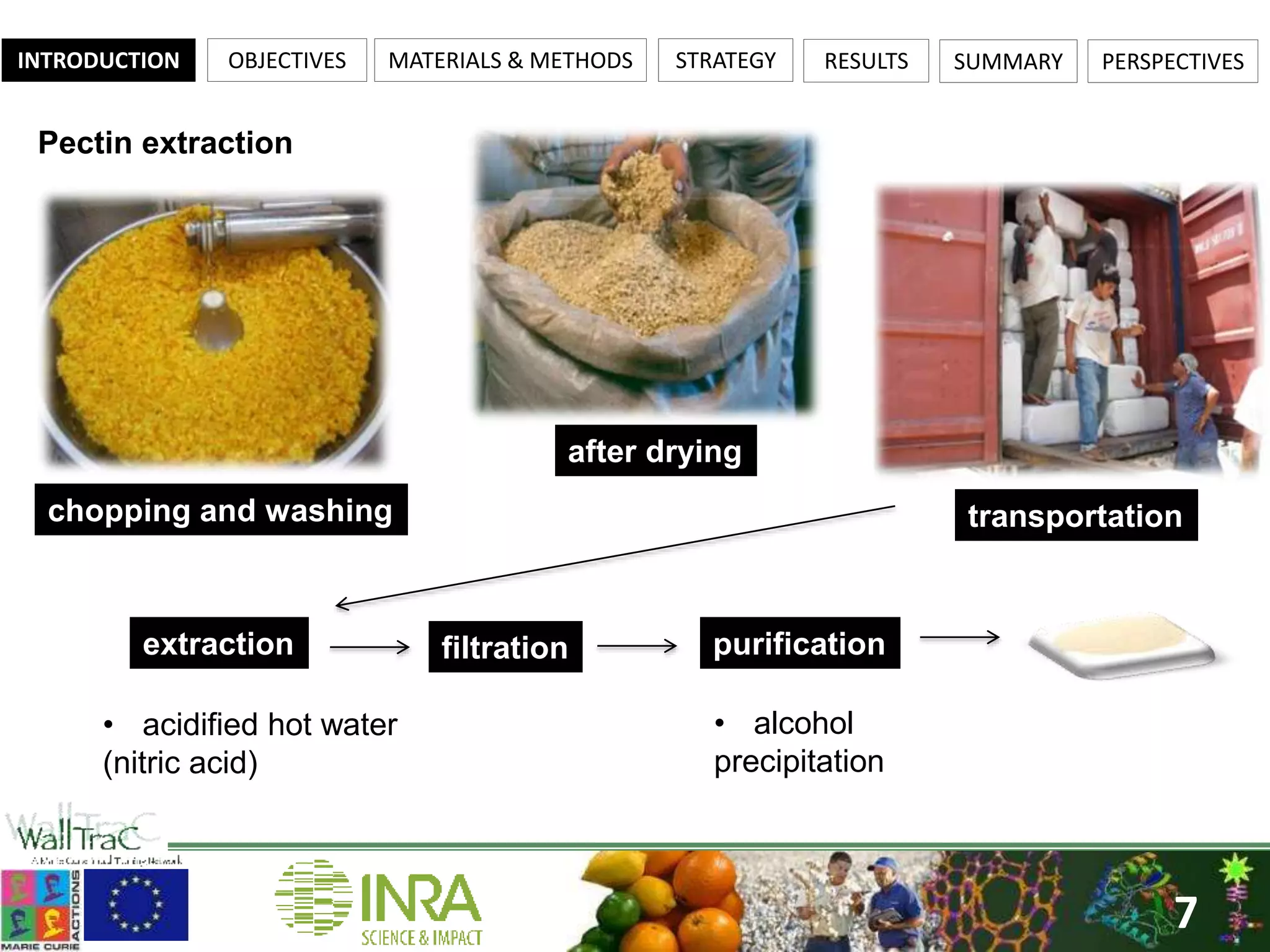 Dr. Merve Kaya- Structure of Citrus Pectine | PPTX